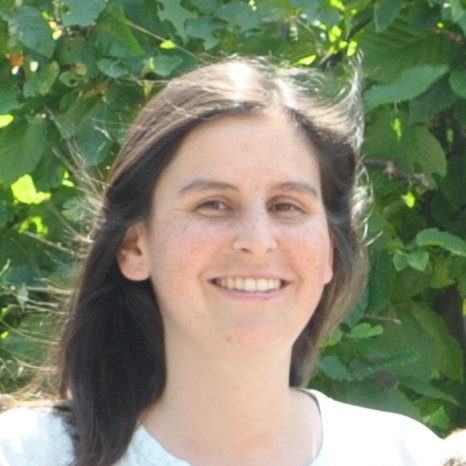 sara – BaubecLab